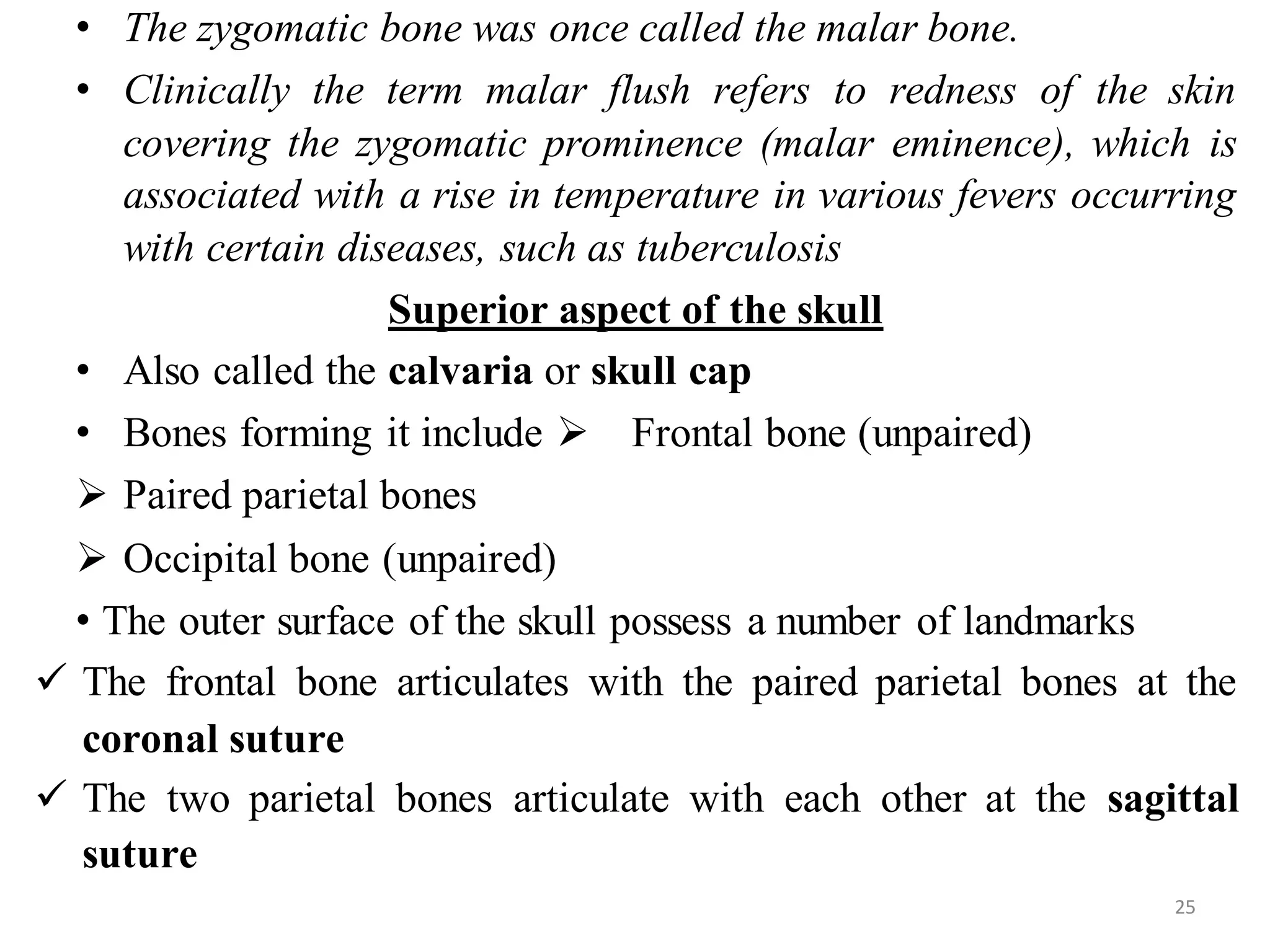 Anatomy of the head and neck | DOCX