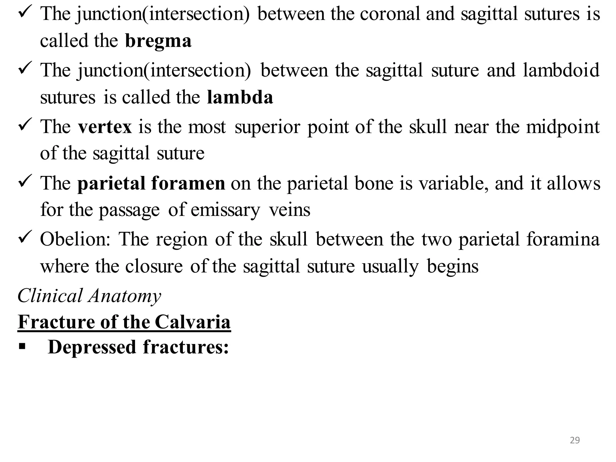 Anatomy of the head and neck | DOCX