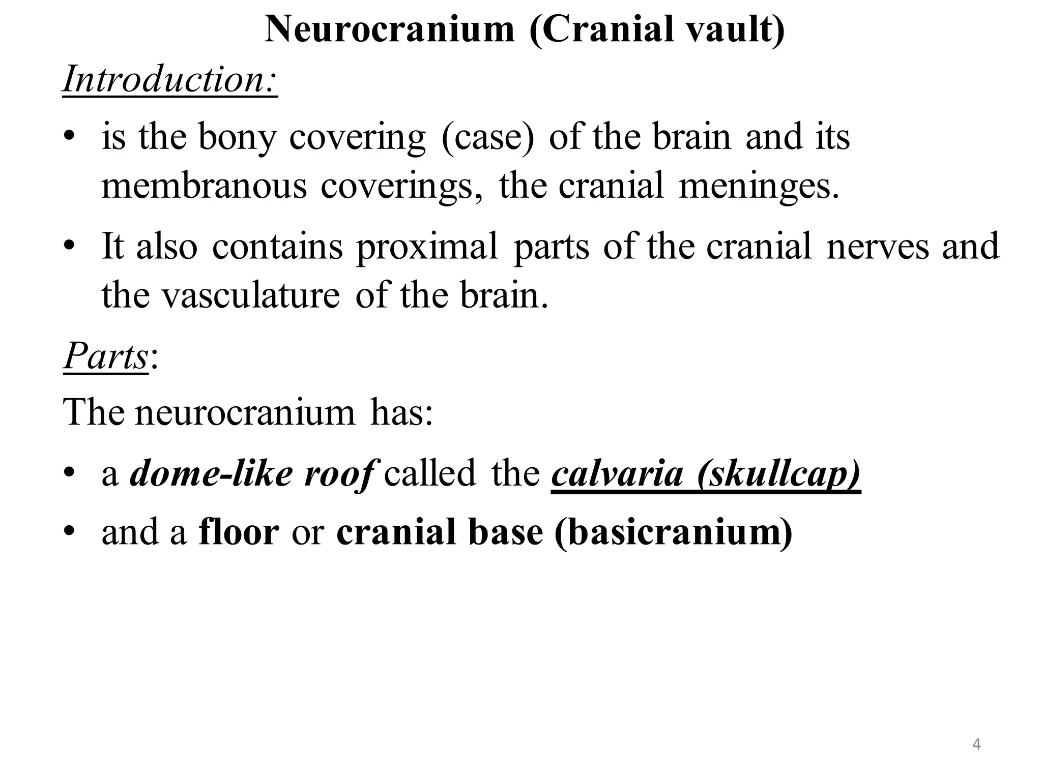 Anatomy of the head and neck | DOCX