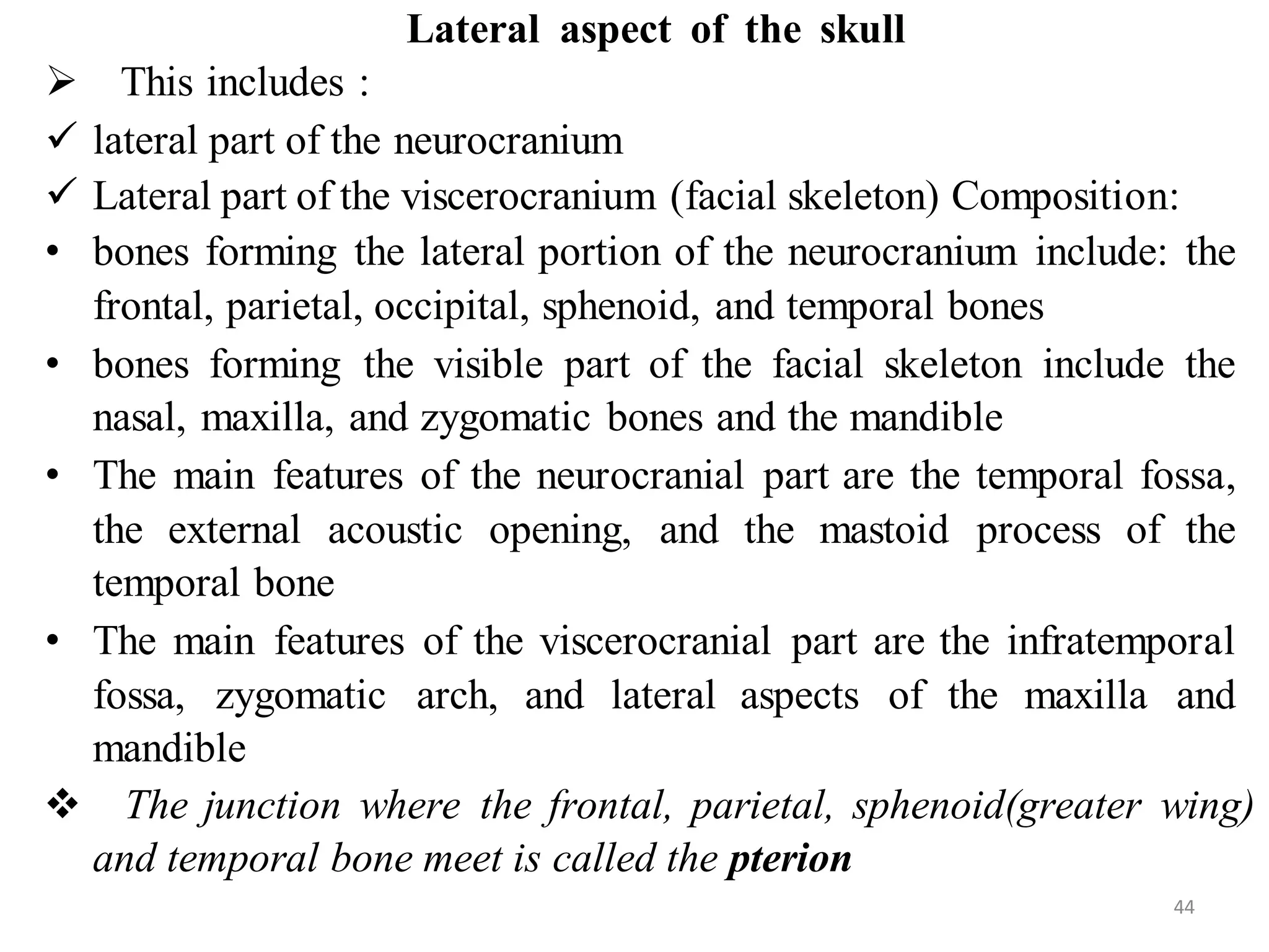 Anatomy of the head and neck | DOCX