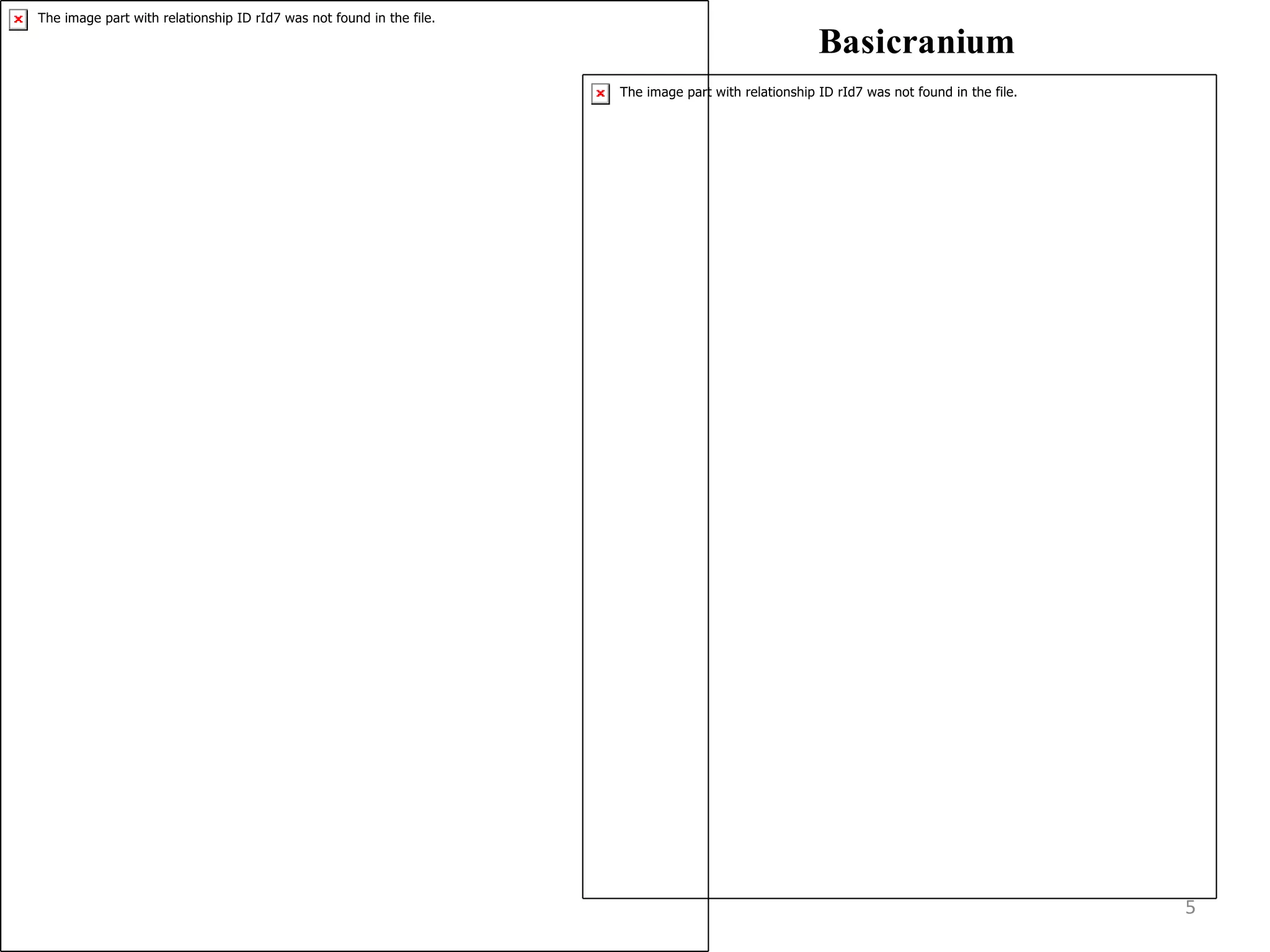 Anatomy of the head and neck | DOCX