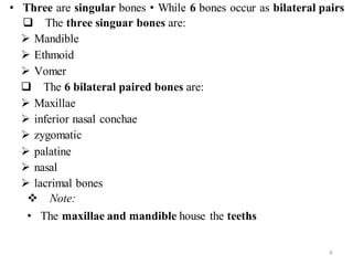Anatomy of the head and neck | DOCX