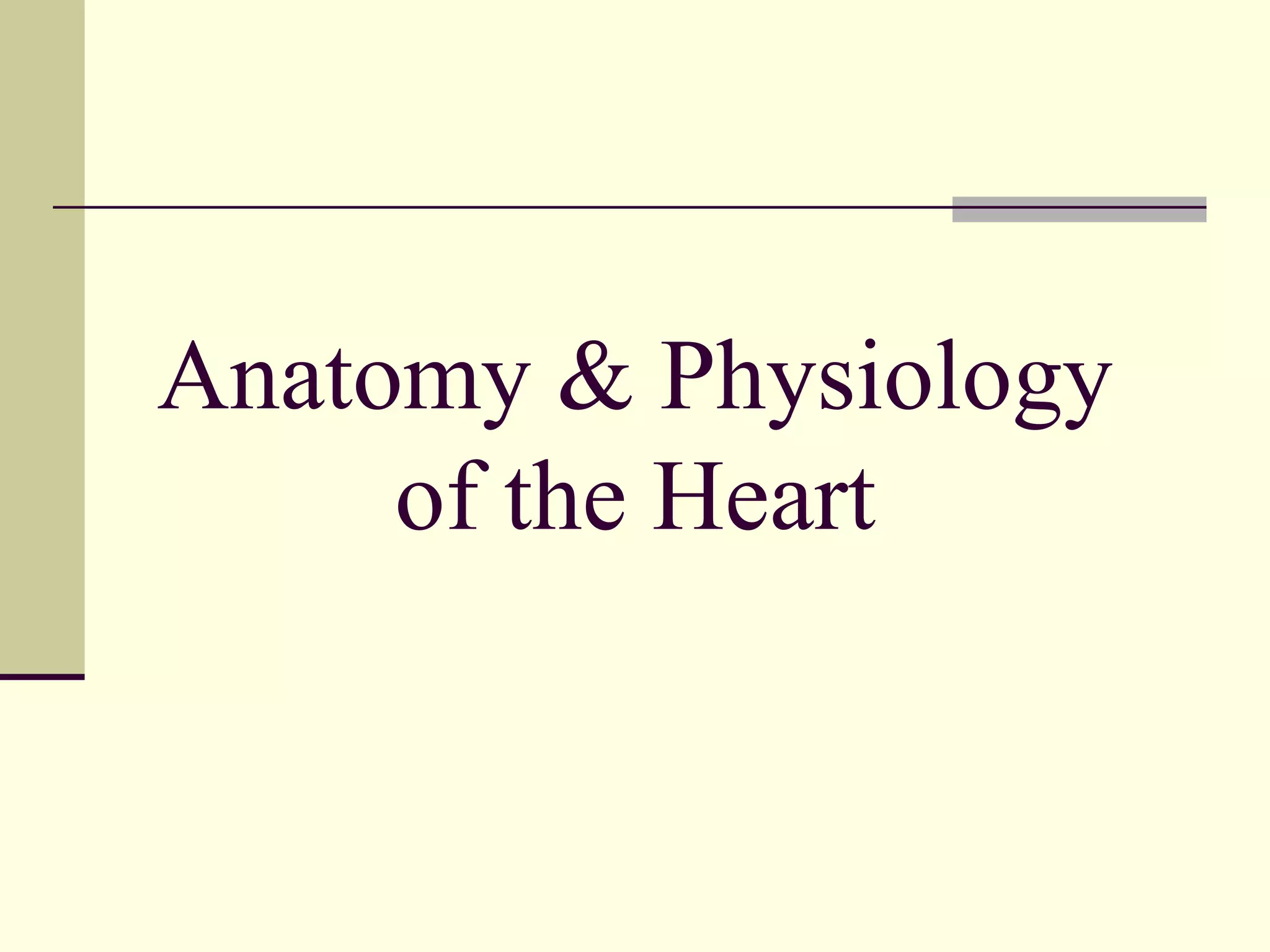Anatomy Of The Heart | PPT | Heart and Cardiovascular Diseases ...
