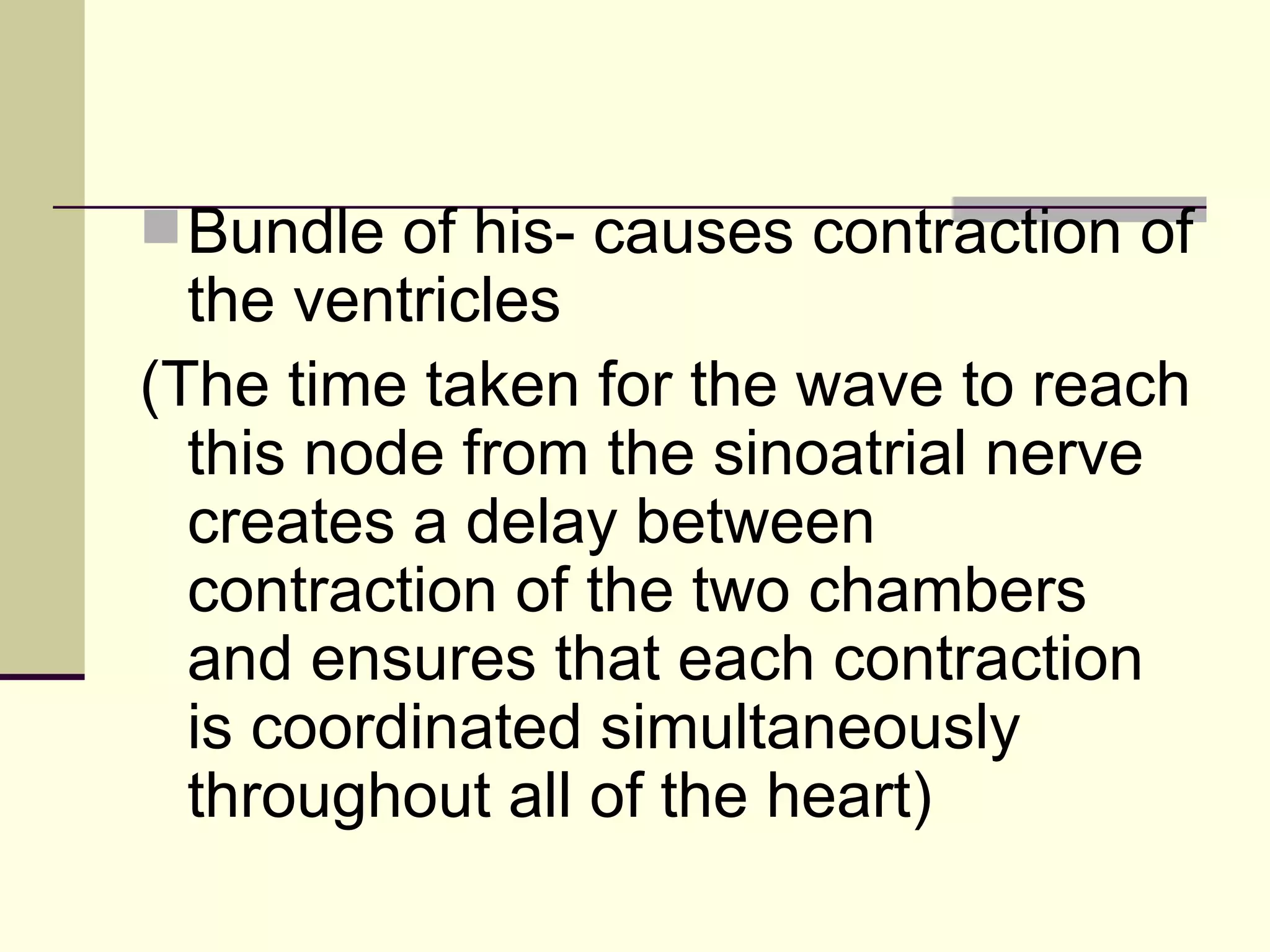Anatomy Of The Heart | PPT