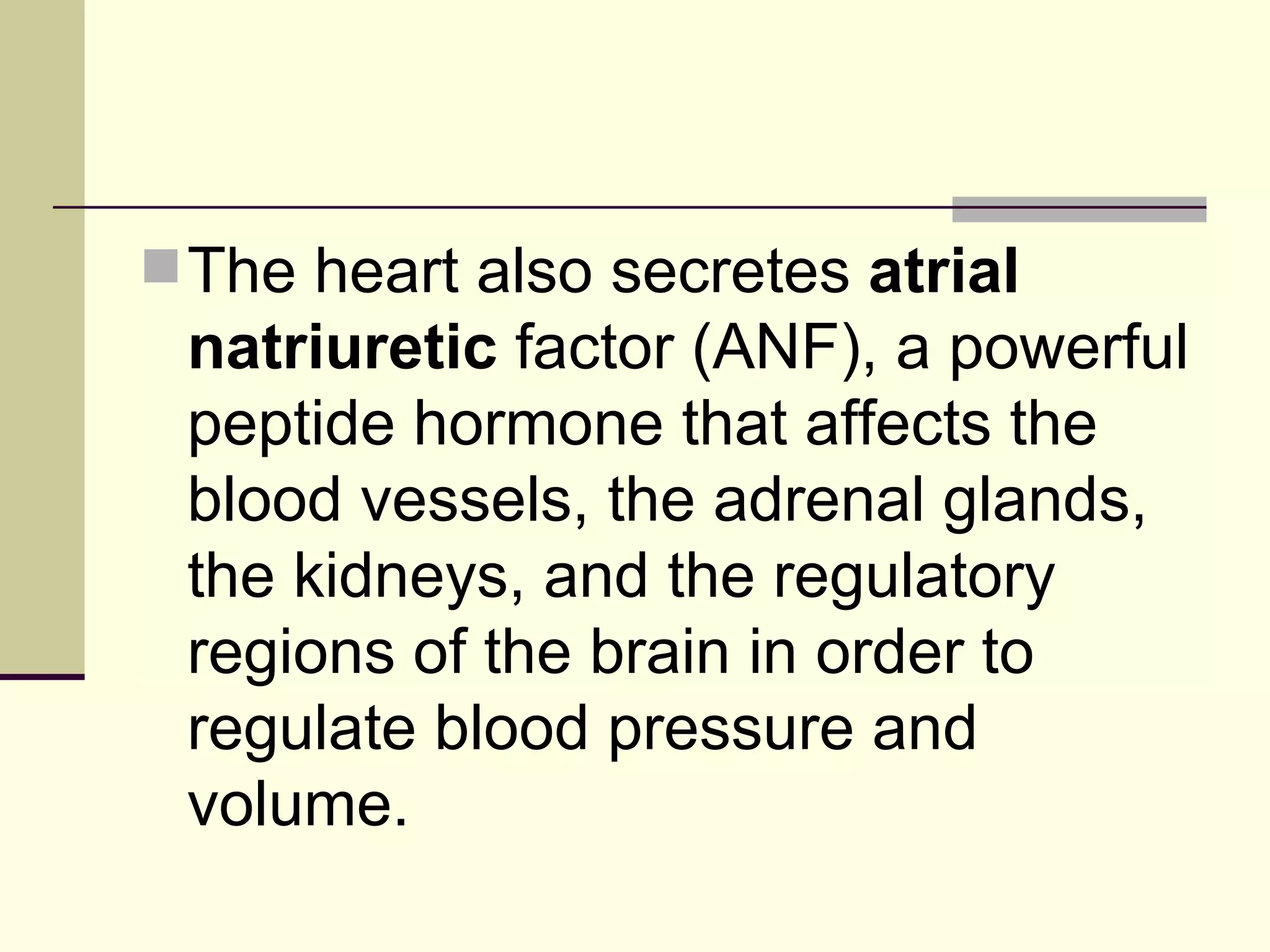 Anatomy Of The Heart | PPT