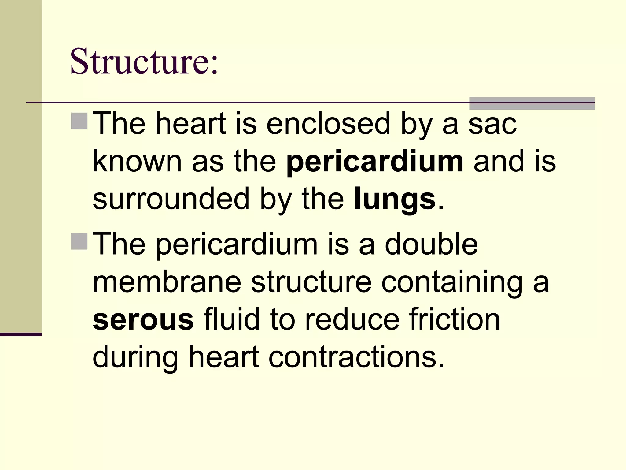 Anatomy Of The Heart | PPT