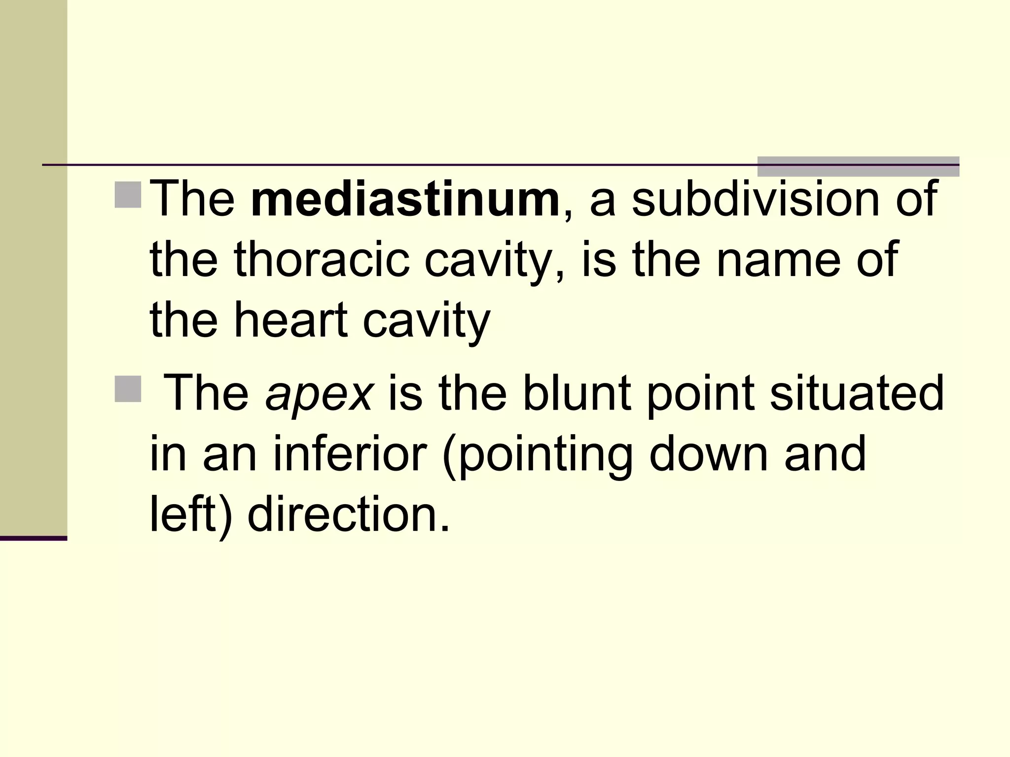 Anatomy Of The Heart | PPT