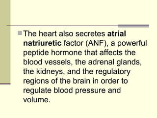 Anatomy Of The Heart | PPT