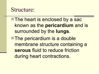 Anatomy Of The Heart | PPT