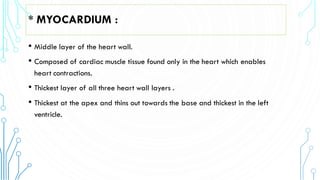 Anatomy of the heart-1.pdf