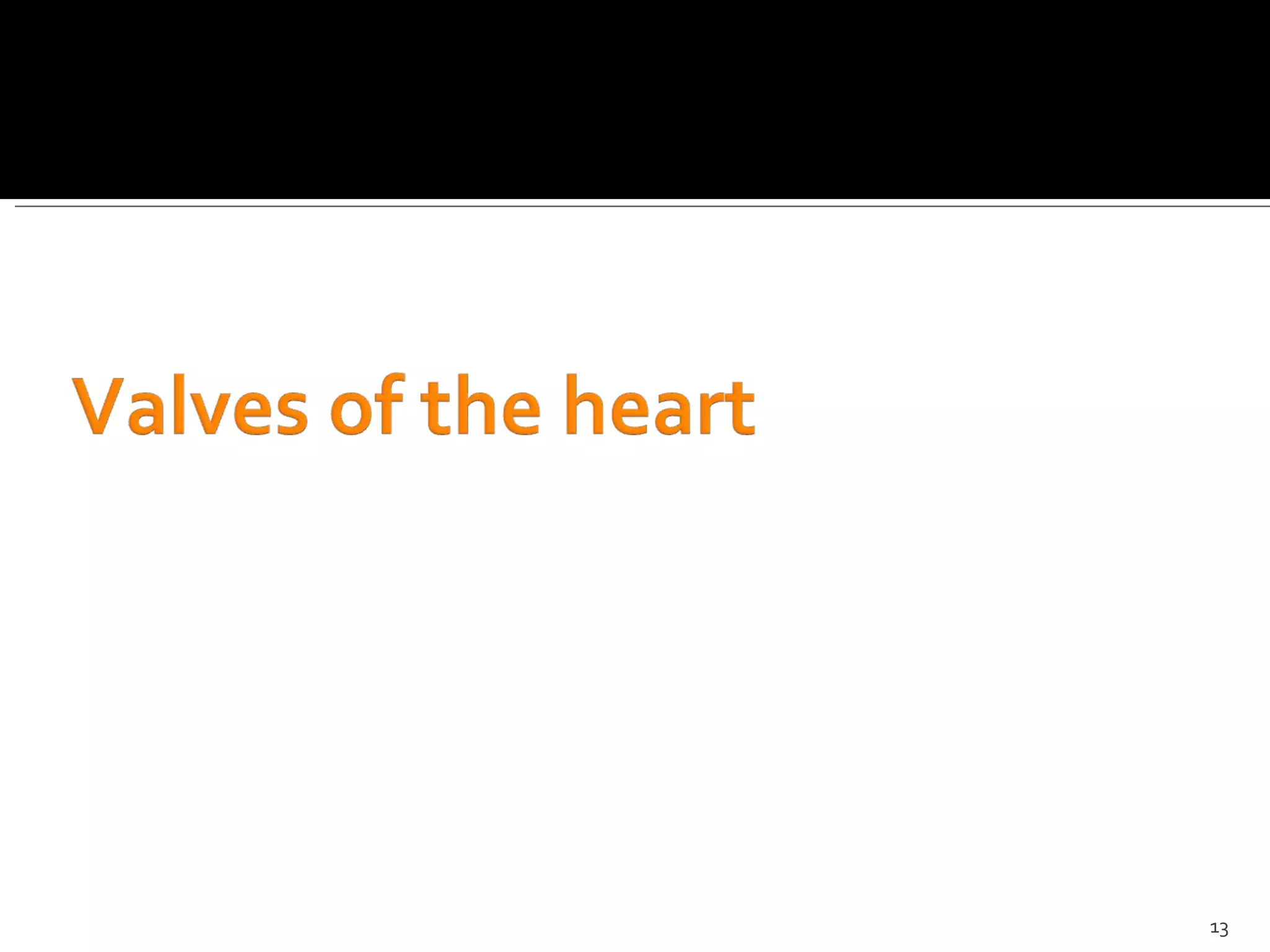 Anatomy Of The Heart | PPT