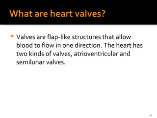 Anatomy Of The Heart | PPT