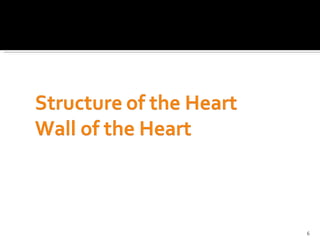 Anatomy Of The Heart | PPT