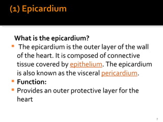 Anatomy Of The Heart | PPT