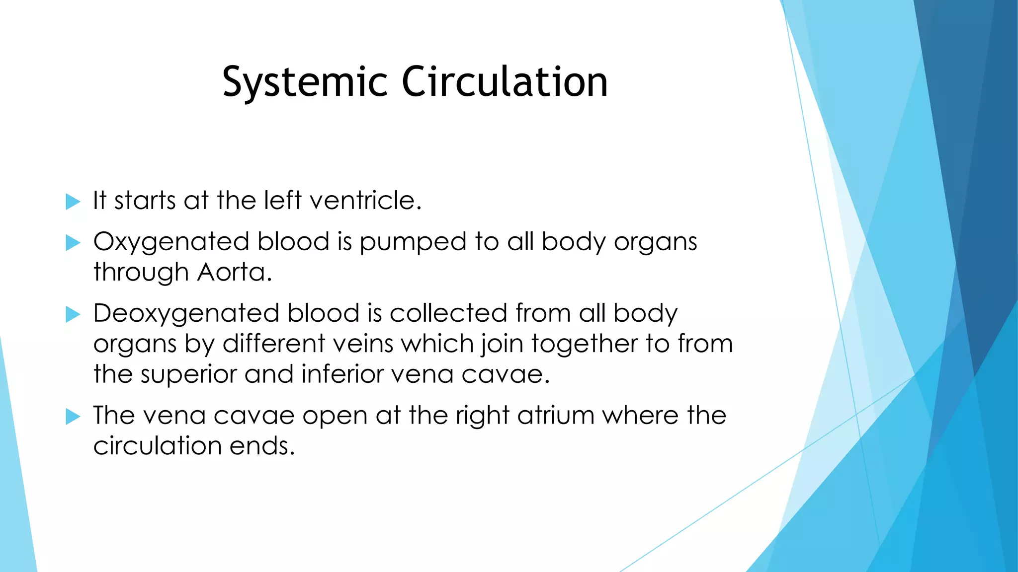 Anatomy of the heart | PPTX