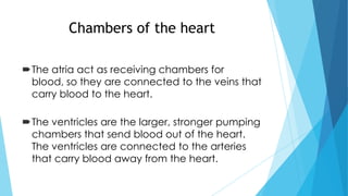 Anatomy of the heart | PPTX