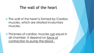 Anatomy of the heart | PPTX
