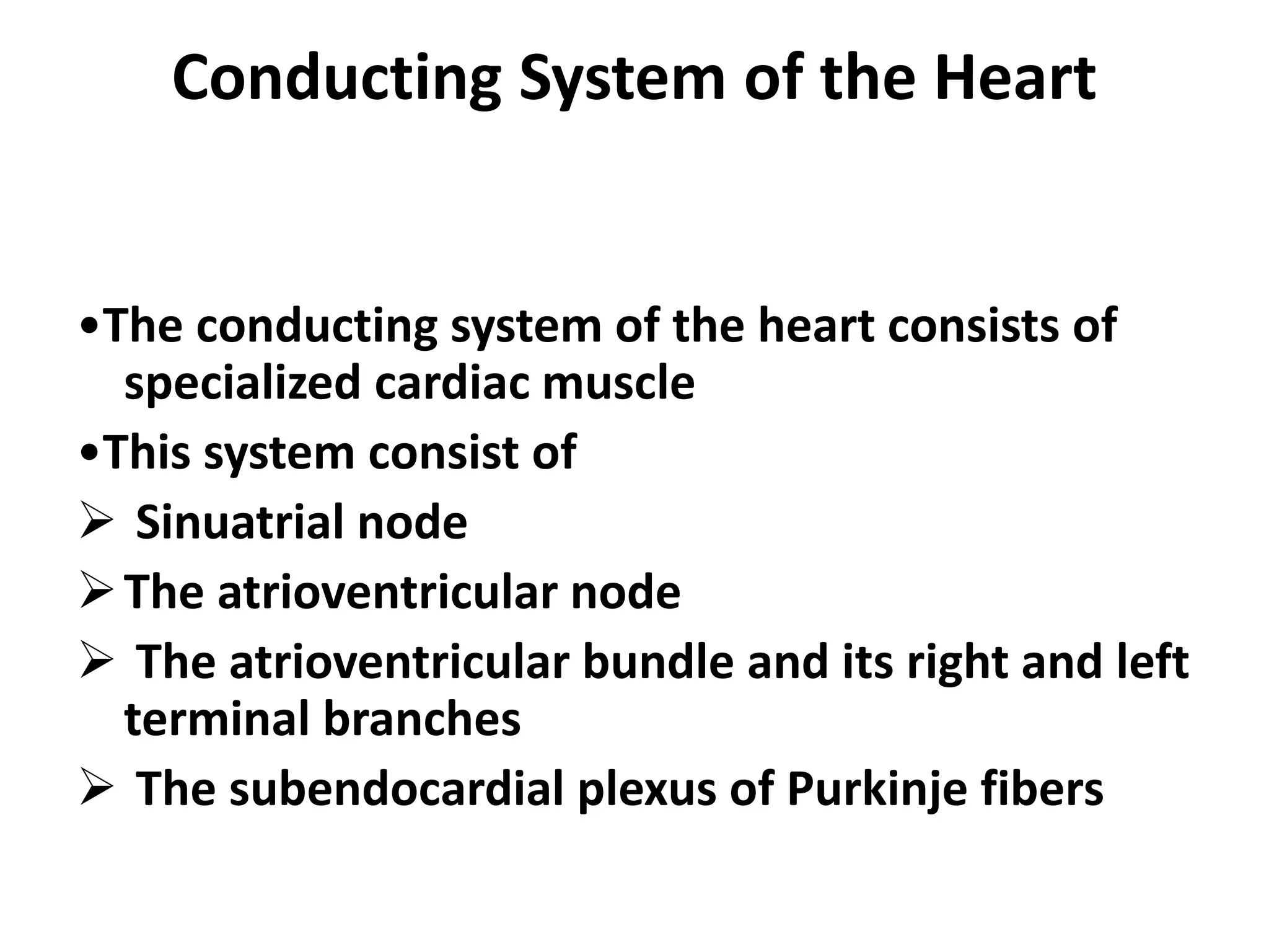 Anatomy of the heart | PPTX
