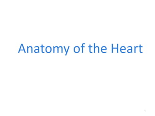 Anatomy of the heart | PPT
