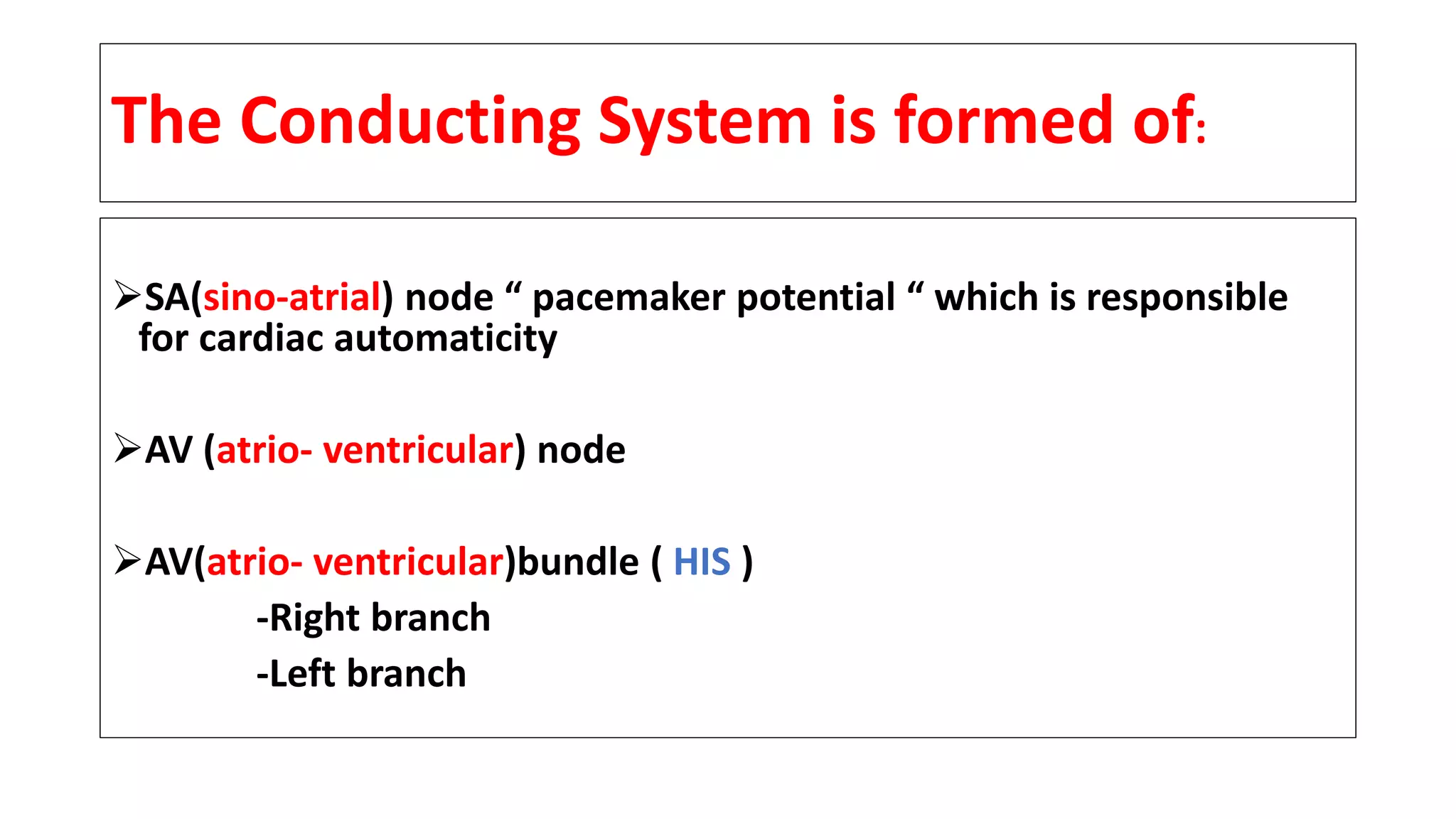 Anatomy of the heart | PPTX