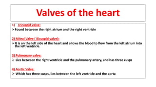 Anatomy of the heart | PPTX