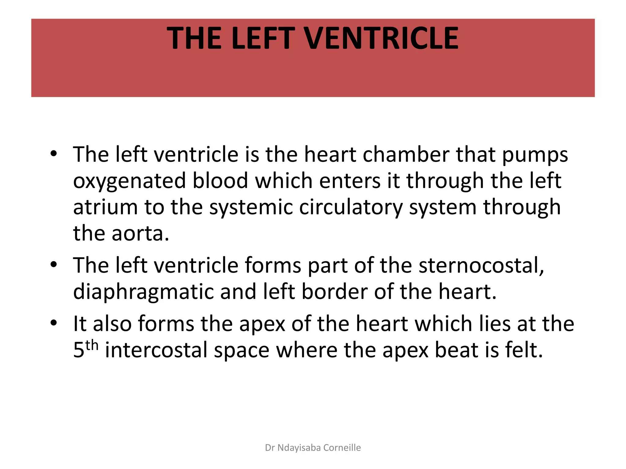 Anatomy of The Heart.pptx