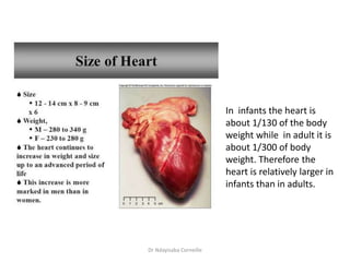 Anatomy of The Heart.pptx