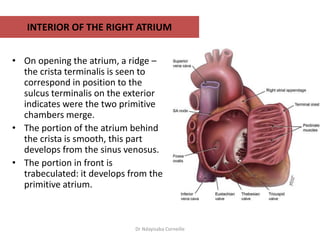 Anatomy of The Heart.pptx