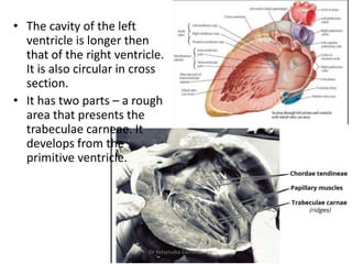Anatomy of The Heart.pptx
