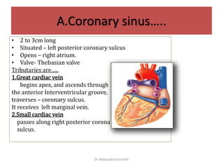 Anatomy of The Heart.pptx