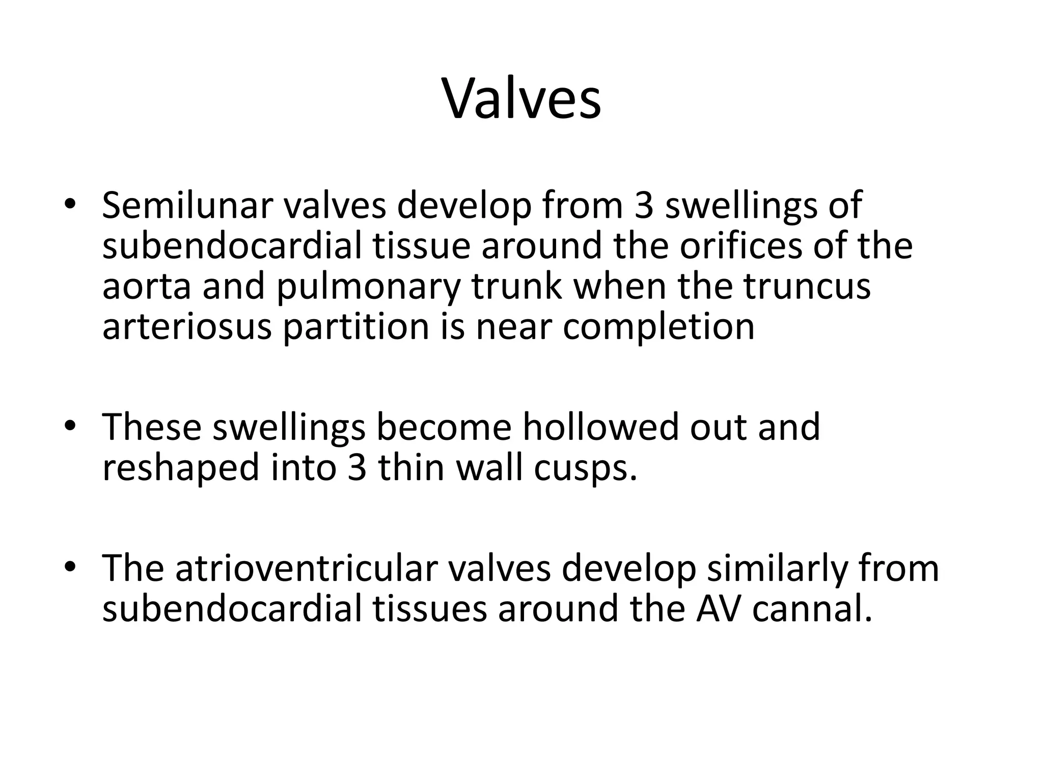 Anatomy of the Heart.pptx