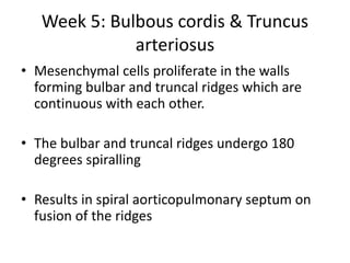 Anatomy of the Heart.pptx