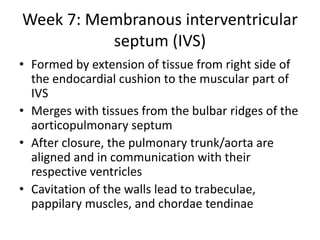 Anatomy of the Heart.pptx