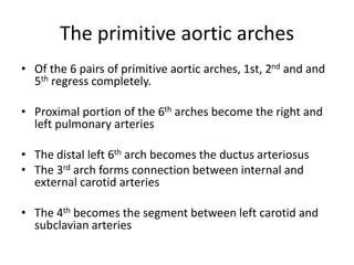 Anatomy of the Heart.pptx