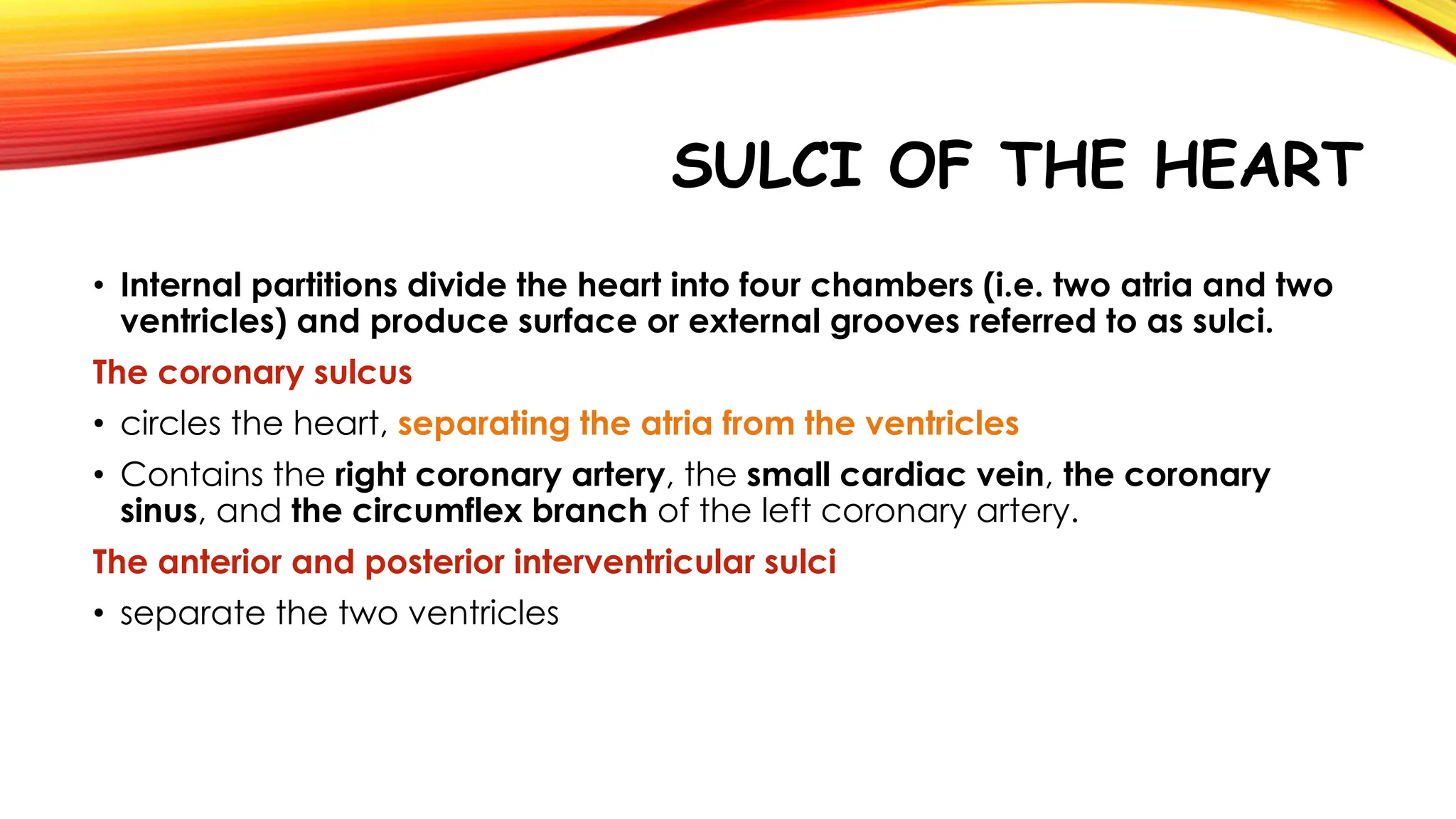 Anatomy of the heart.pdf. Histological . | PDF | Heart and ...