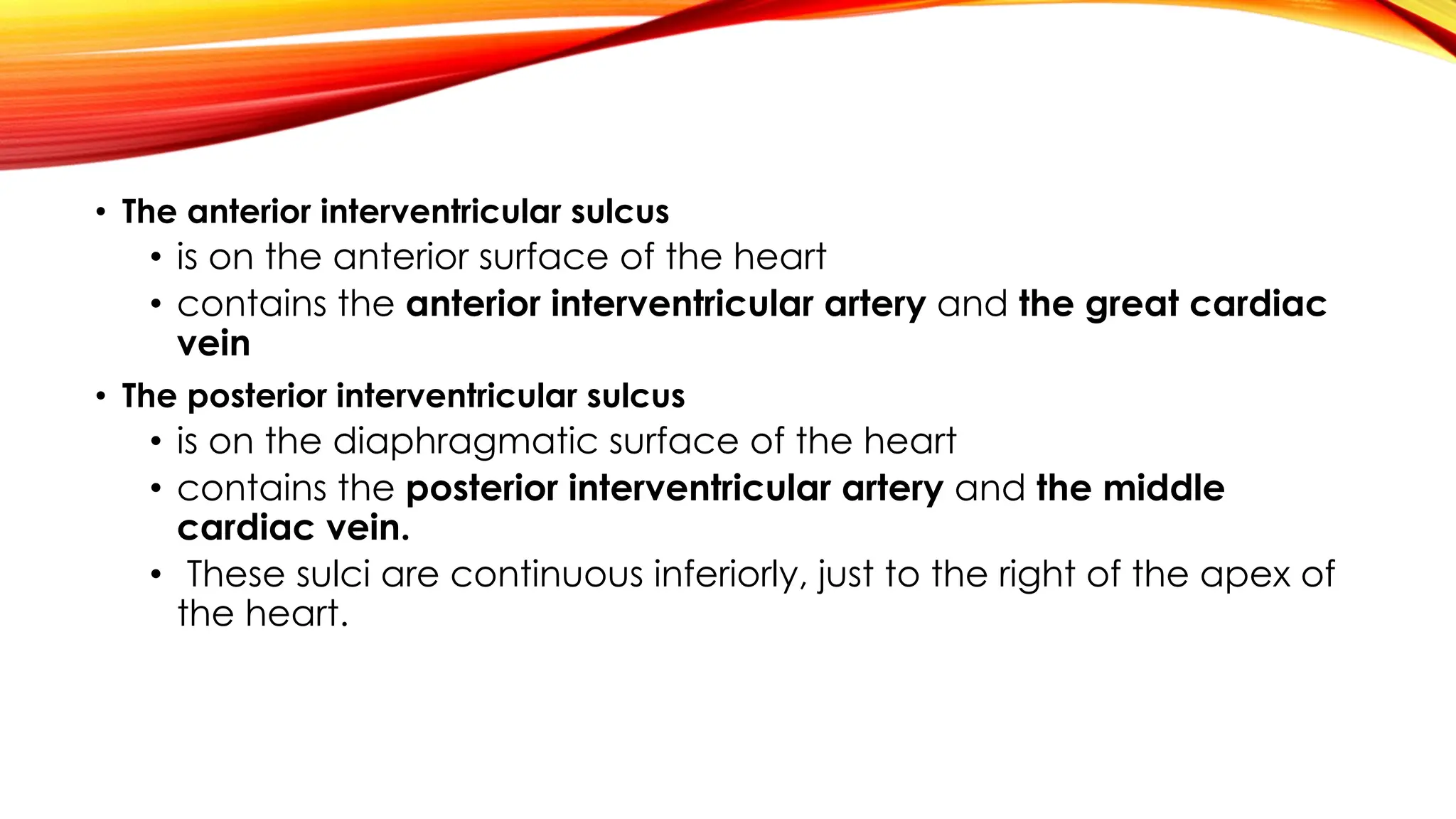 Anatomy of the heart.pdf. Histological . | PDF | Heart and ...