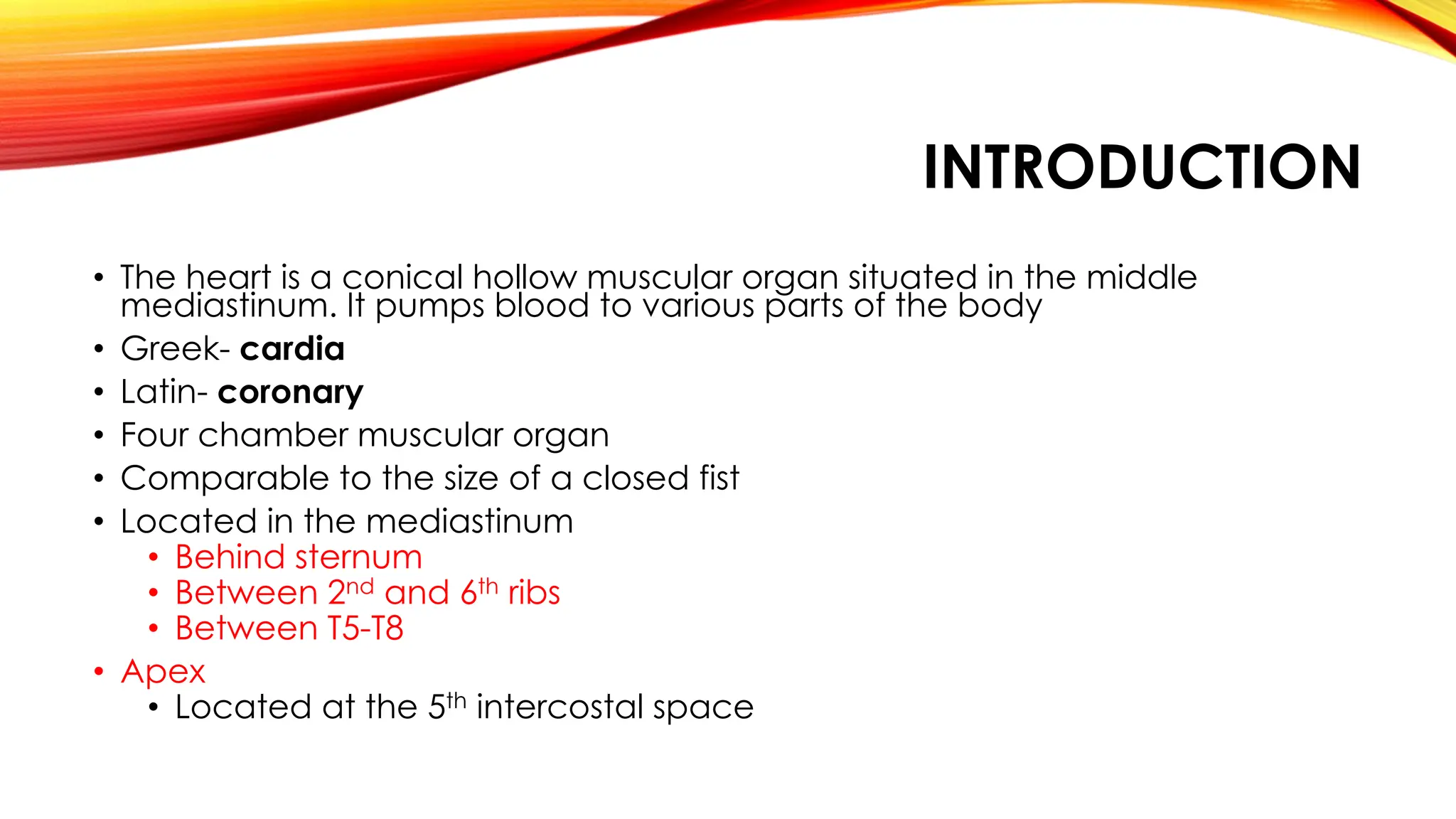 Anatomy of the heart.pdf. Histological . | PDF | Heart and ...