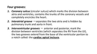 Anatomy of the heart lecture.pptx | Heart and Cardiovascular Diseases ...