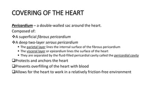 Anatomy of the heart lecture.pptx