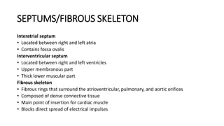 Anatomy of the heart lecture.pptx