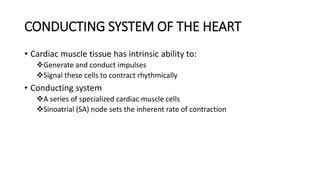 Anatomy of the heart lecture.pptx | Heart and Cardiovascular Diseases ...