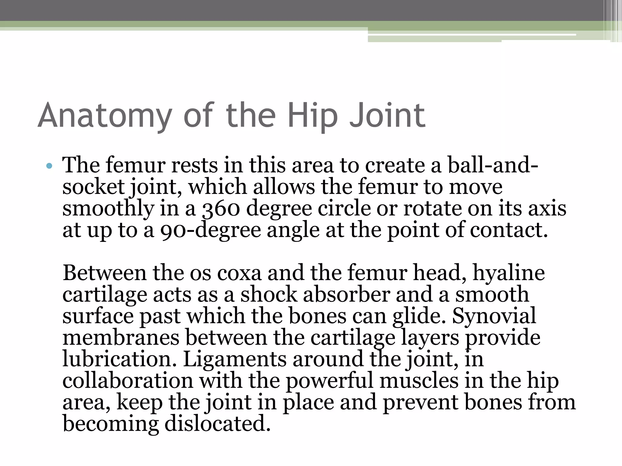 Anatomy of the Hip Joint | PPTX