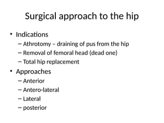 anatomy of the Hip Joint and clinical significance | PPTX