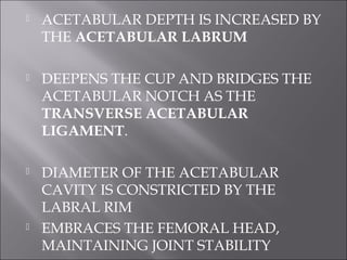 Anatomy of the hip joint anoop | PPT