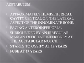 Anatomy of the hip joint anoop | PPT