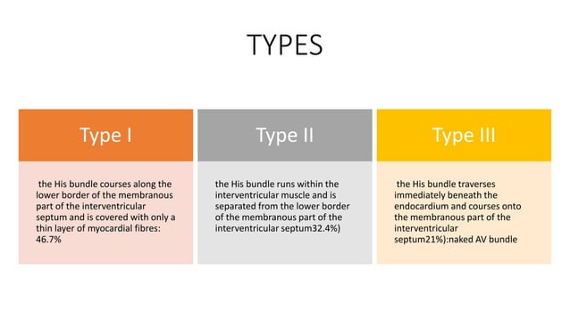 Anatomy of the his bundle | PPTX