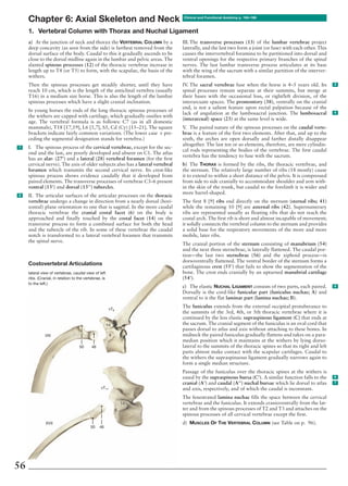 Anatomy of the horse | PDF