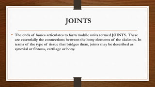 ANATOMY OF THE HUMAN SKELETON POWERPOINT | PPTX
