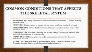 ANATOMY OF THE HUMAN SKELETON POWERPOINT | PPTX