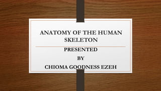 ANATOMY OF THE HUMAN SKELETON POWERPOINT | PPT
